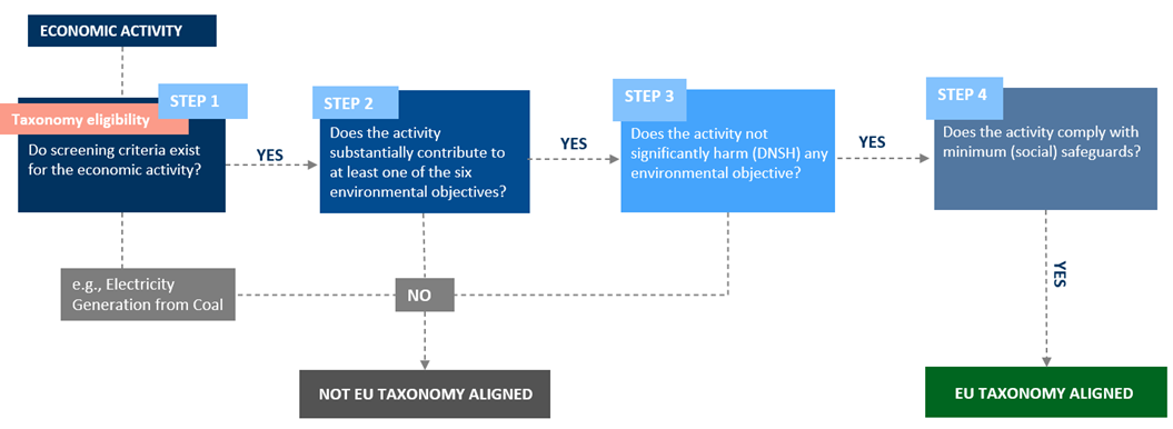 Xerophytes Definition Adaptation Examples Video 4. Adaptations
